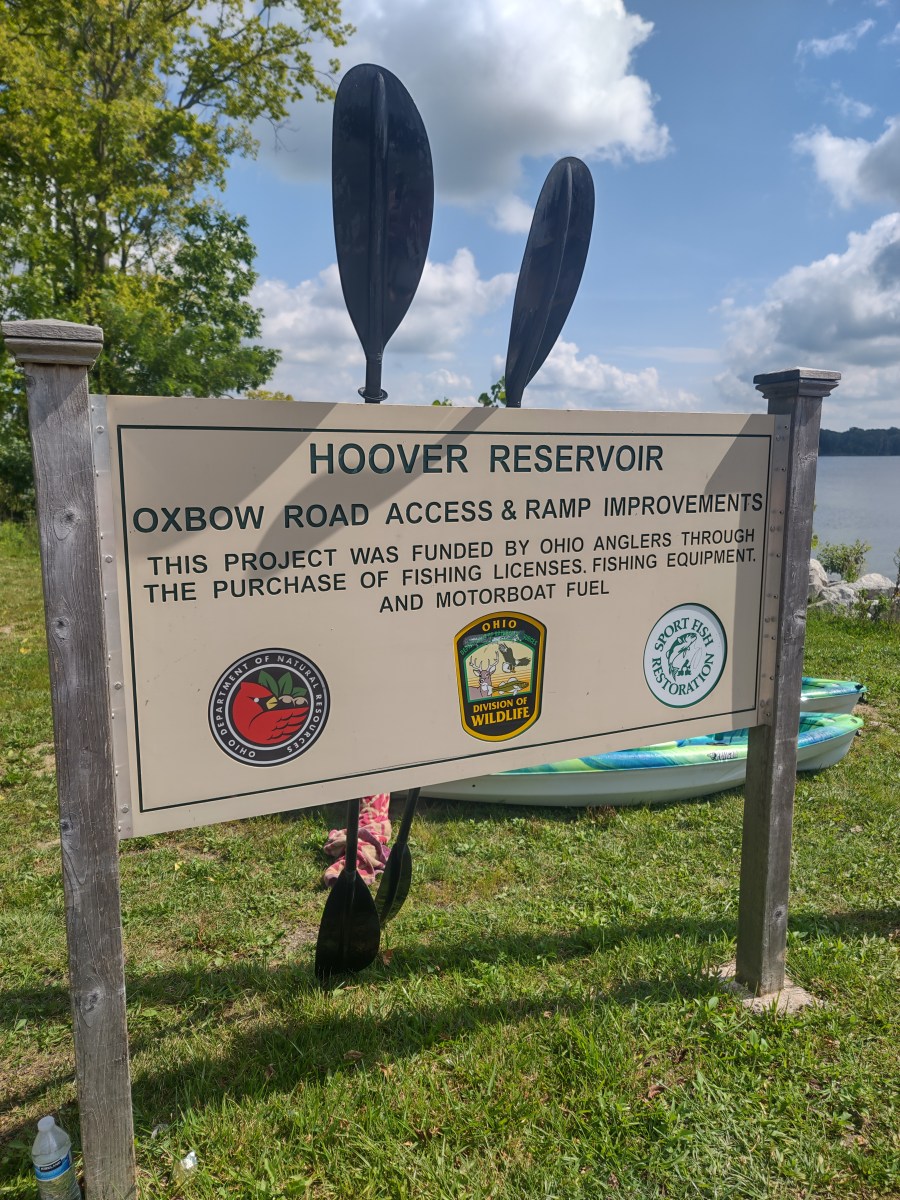 Lessons from a kayak – The Broad Running Broad